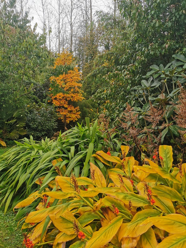 Vert'Tige - Jardin & Pépinière - Association des Parcs et Jardins de ...