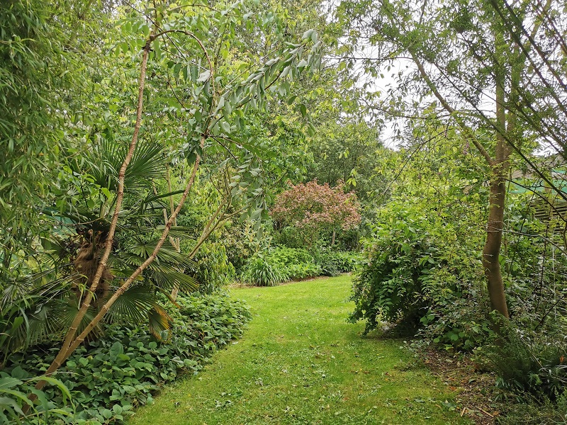 Vert'Tige - Jardin & Pépinière - Association des Parcs et Jardins de ...