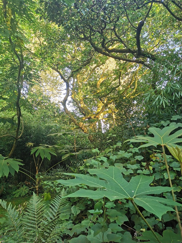 Vert'Tige - Jardin & Pépinière - Association des Parcs et Jardins de ...