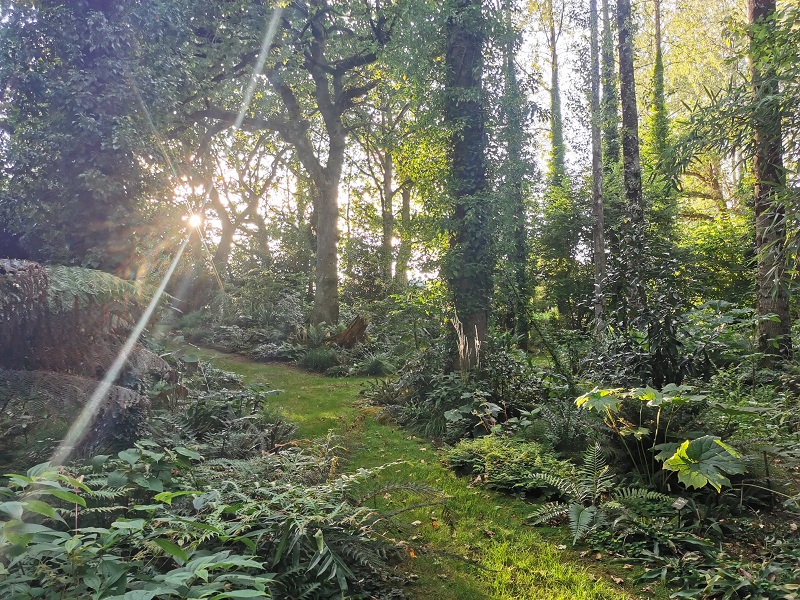Vert'Tige - Jardin & Pépinière - Association des Parcs et Jardins de ...