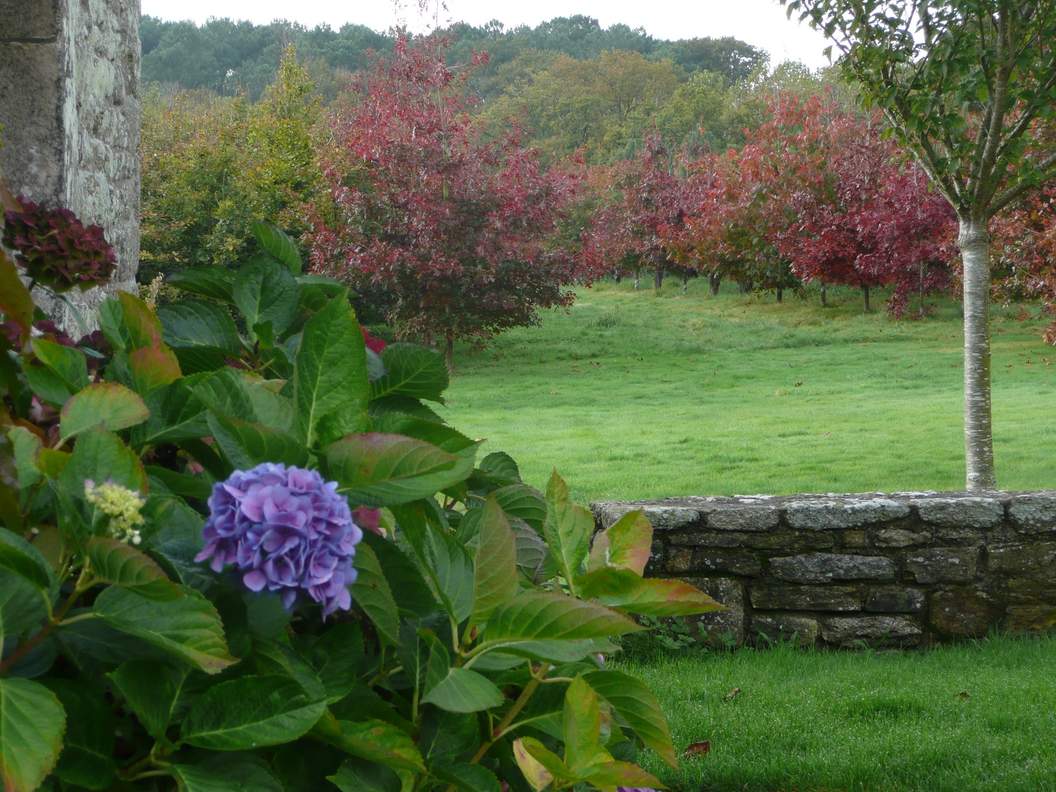 Accueil - Association des Parcs et Jardins de Bretagne
